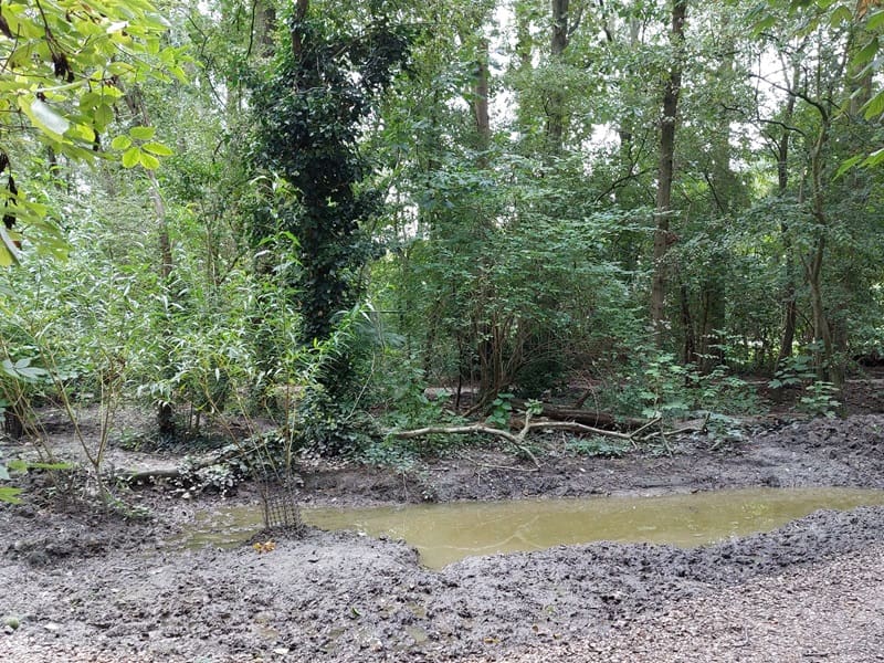 Slimme waterafvoer door wadi bij Dierentehuis Stevenshage - Stimular